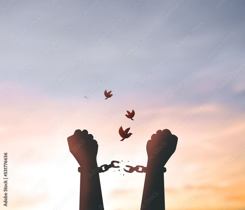 2 hands are breaking the chains. Free flying bird and evening sky ...