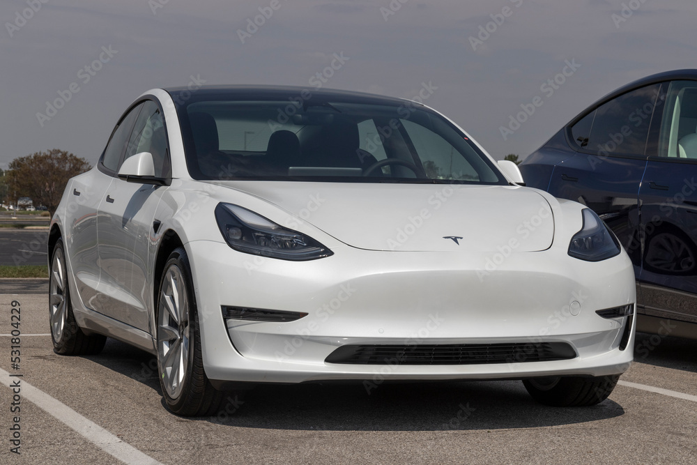 Tesla EV electric vehicles on display. Tesla products include electric ...