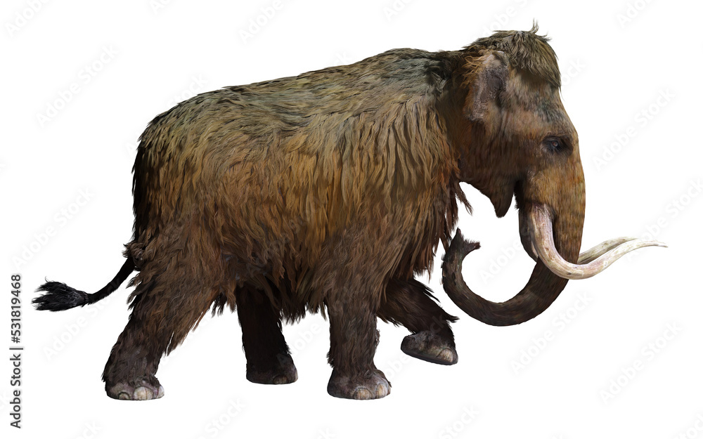 A 3D illustration side view of a Woolly Mammoth with a transparent ...