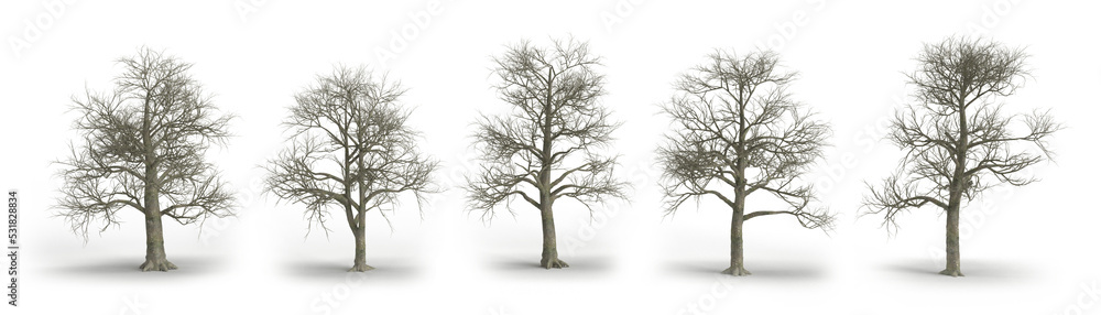 Dead tree 3d render isolated on transparent background Stock ...