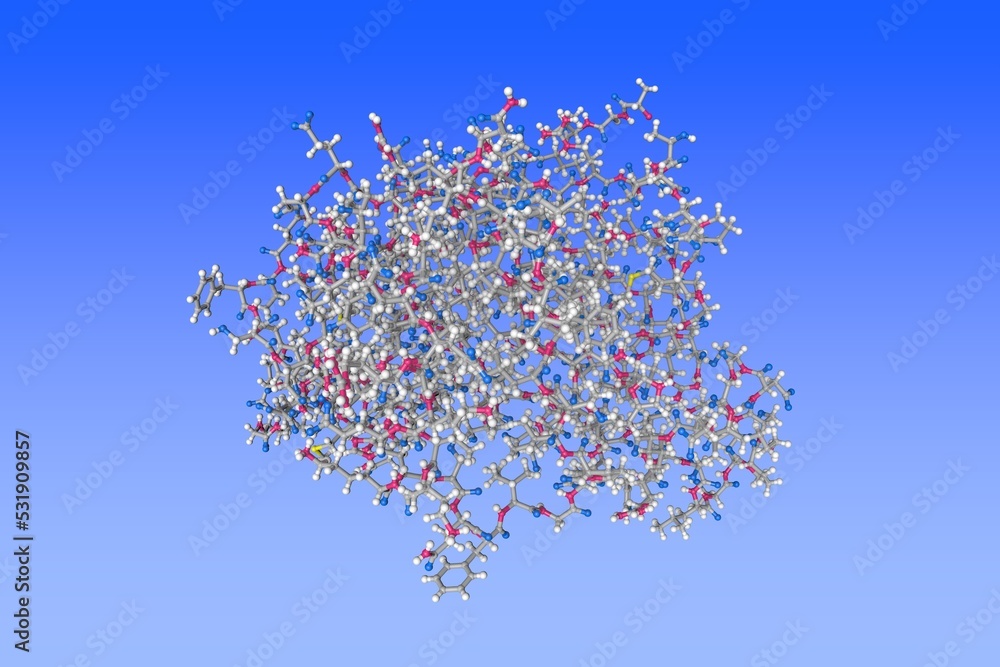 Heat-shock protein HSP 90a-NTD bound to adenine. Atoms are shown as ...