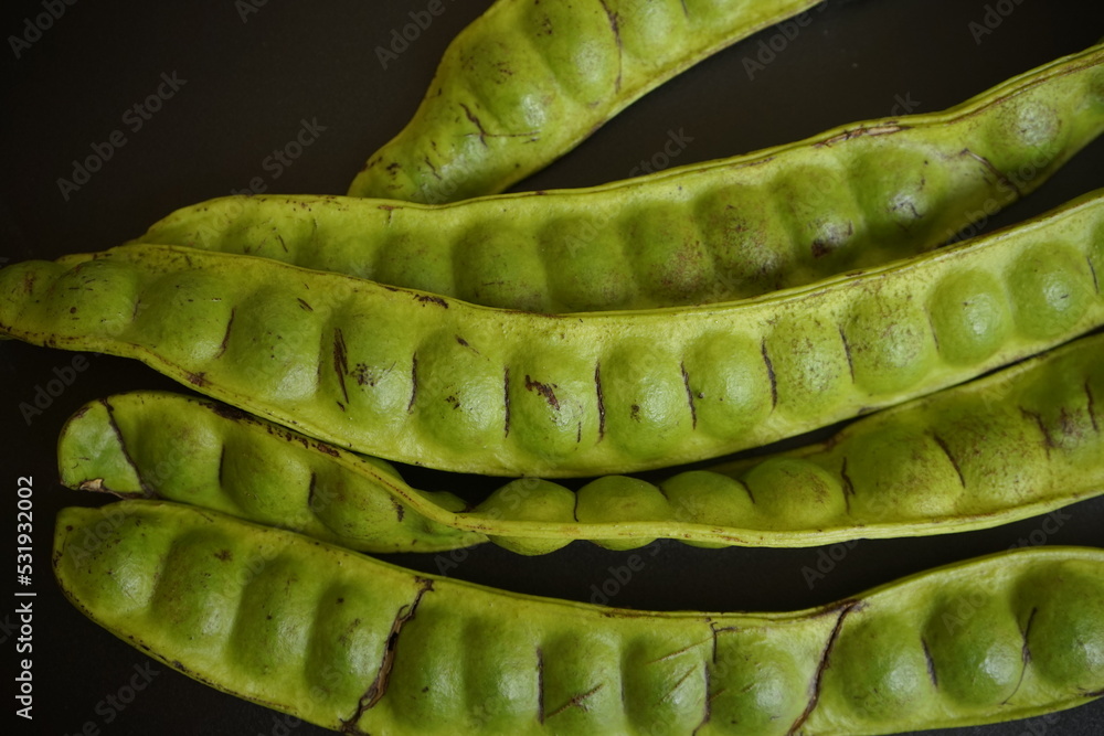 Mlanding (Parkia speciosa) called Pete in Indonesia is a tropical ...