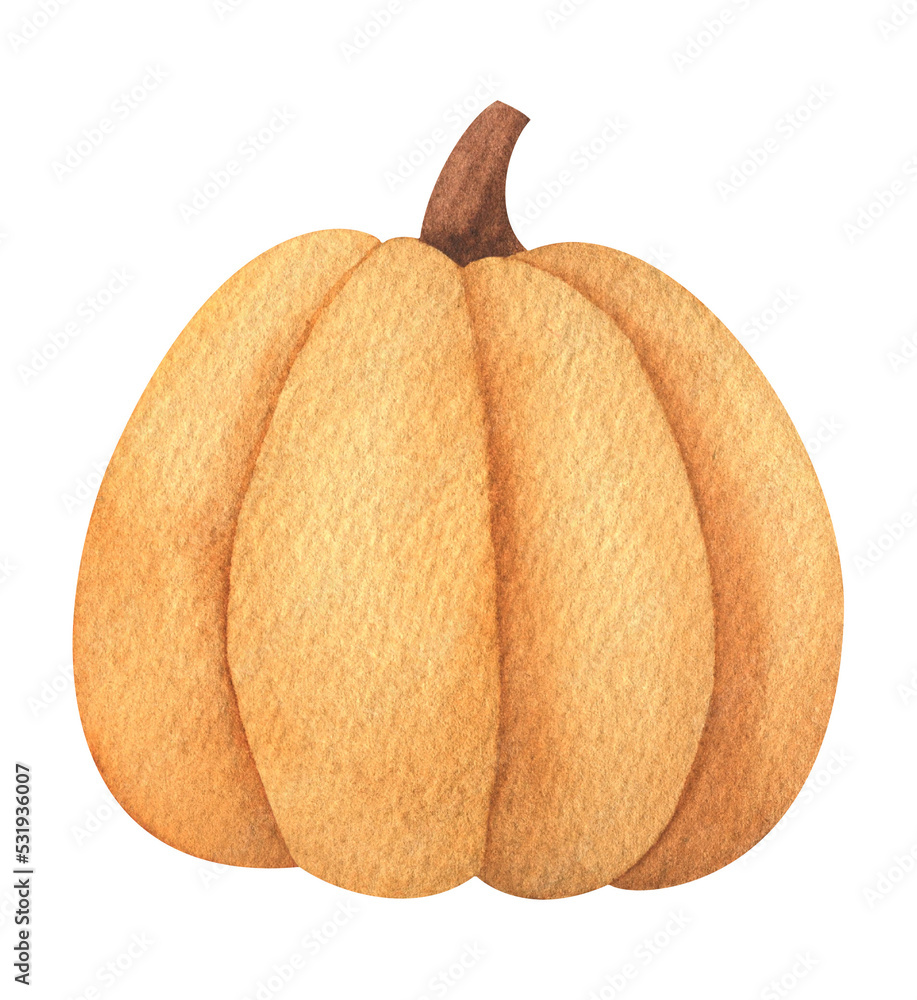 Watercolor pumpkin clipart. Orange autumn vegetable. The pumpkin ...