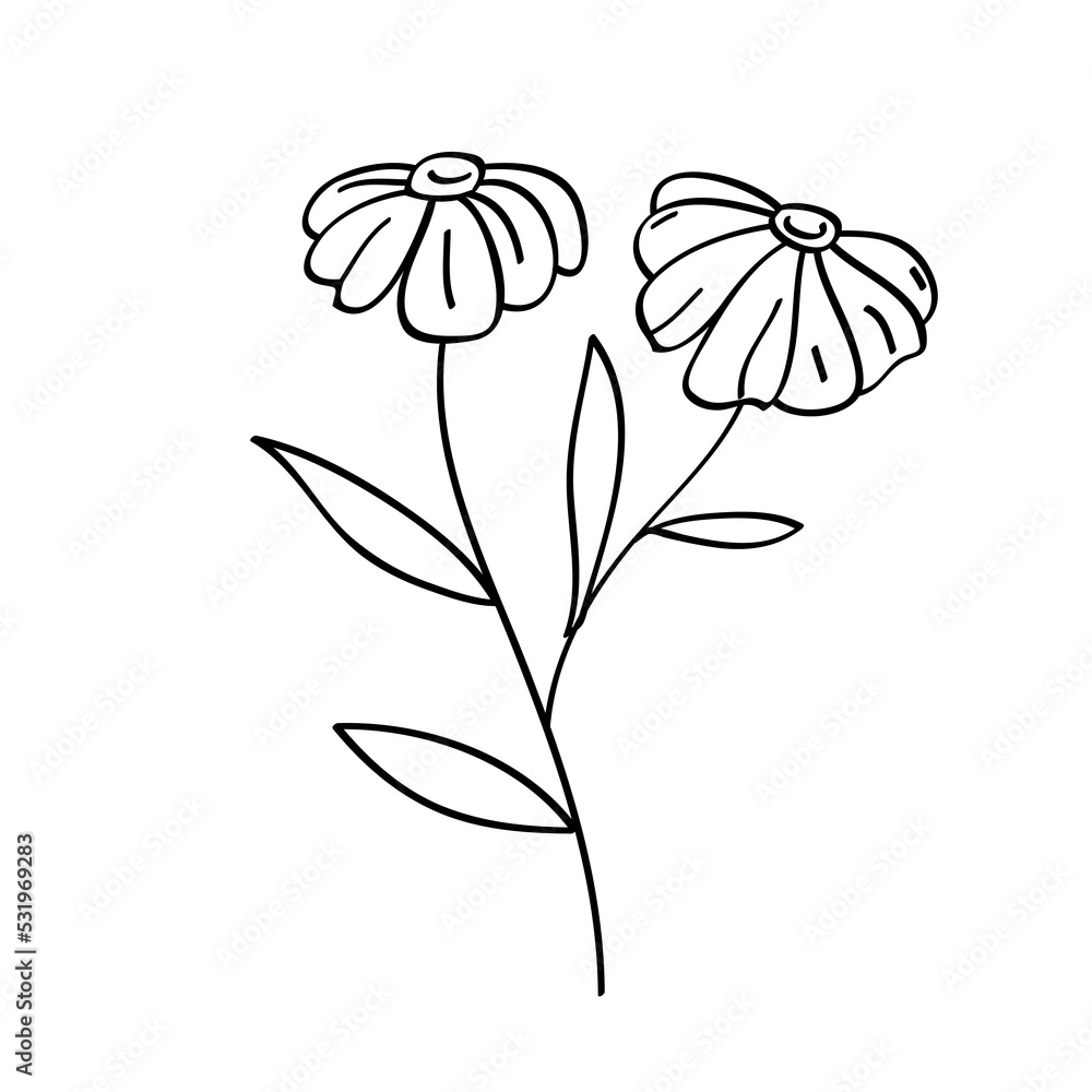 Flower line art illustration, outline decoration PNG Stock Illustration ...