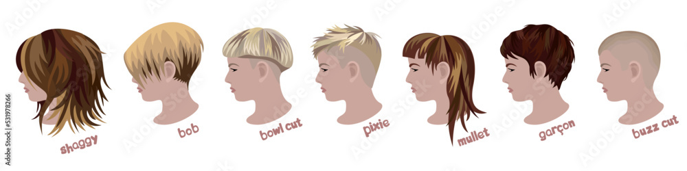 Woman's various hairstyles. Shaggy, bob, bowl cut, pixie, mullet ...