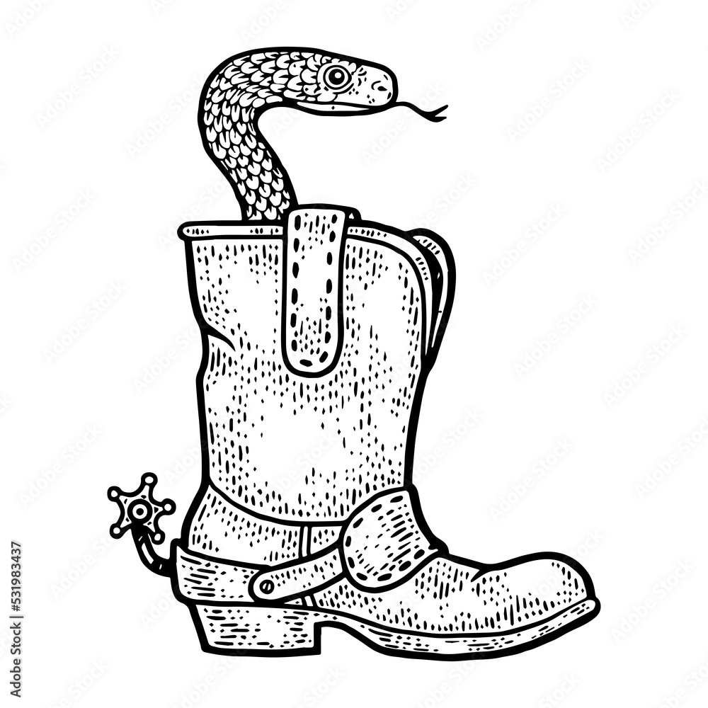 Snake in a cowboy boot sketch PNG illustration with transparent ...
