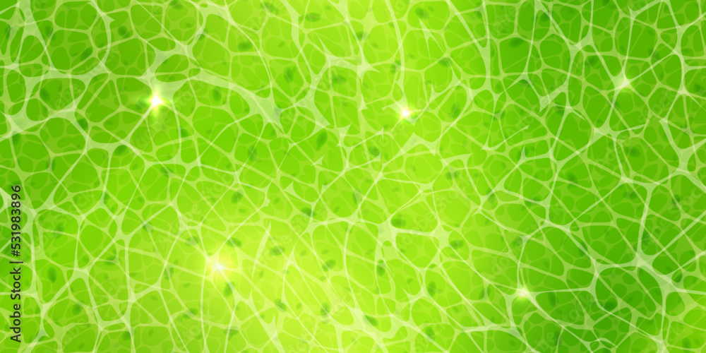 Green plant cells with nuclears texture under a microscope or abstract ...