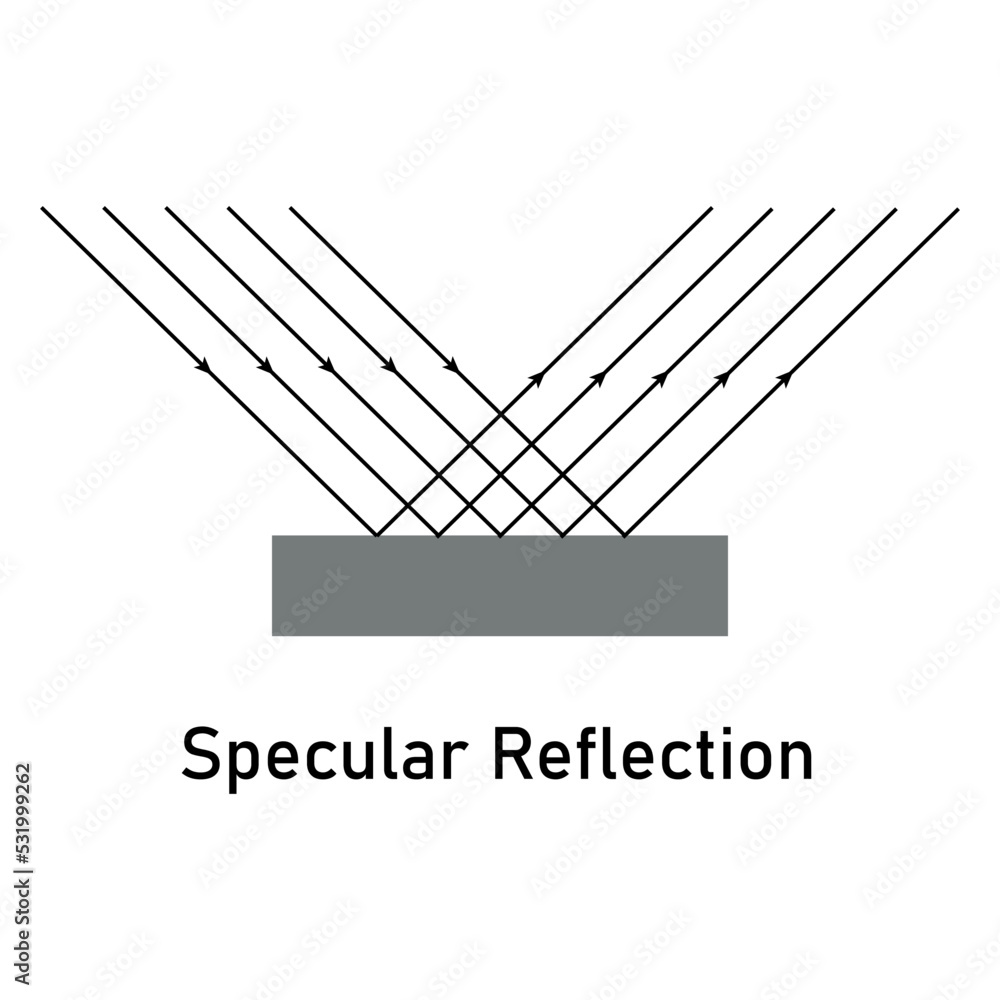 Specular Reflection Diagram Scientific Vector Illustration Isolated On