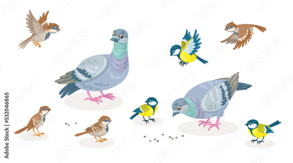 Two gray doves, three titmouses and four sparrows peck grain. City ...