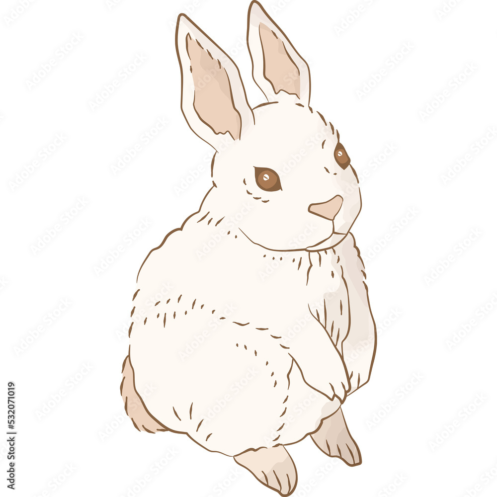 White Rabbit PNG Clipart Illustration Stock Illustration | Adobe Stock