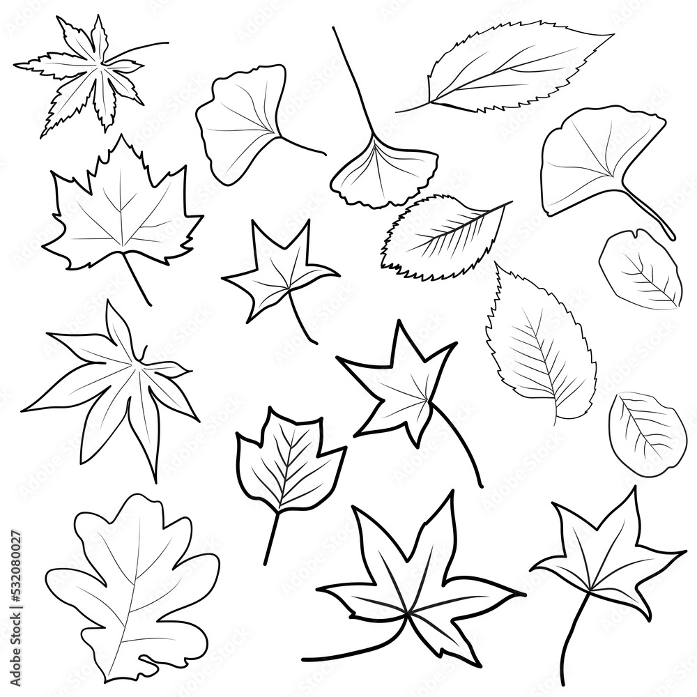 Line art set of autumn leaves, outline collection. Coloring page for ...