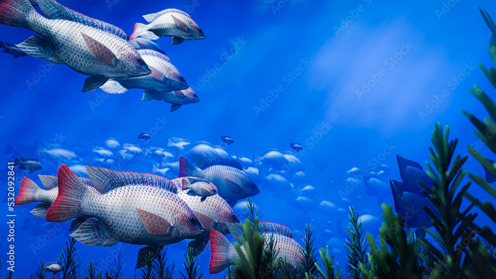 Flocks of fish swim in groups, the underwater circle is shining down ...