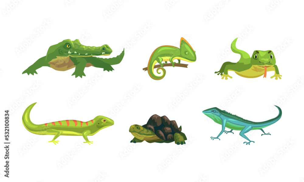 Set of amphibians. Chameleon, iguana, crocodile crawling animals ...