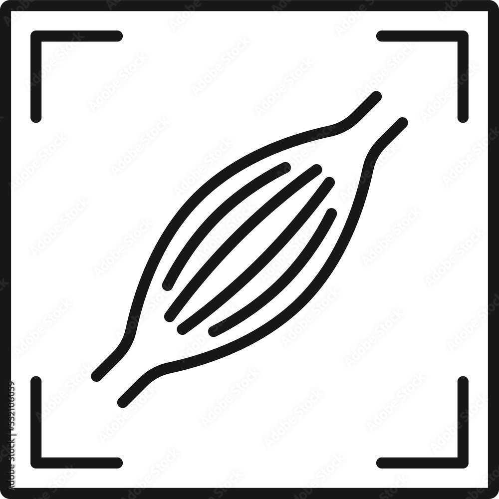 MRI scan of aortic dissection coronary artery icon Stock Illustration ...