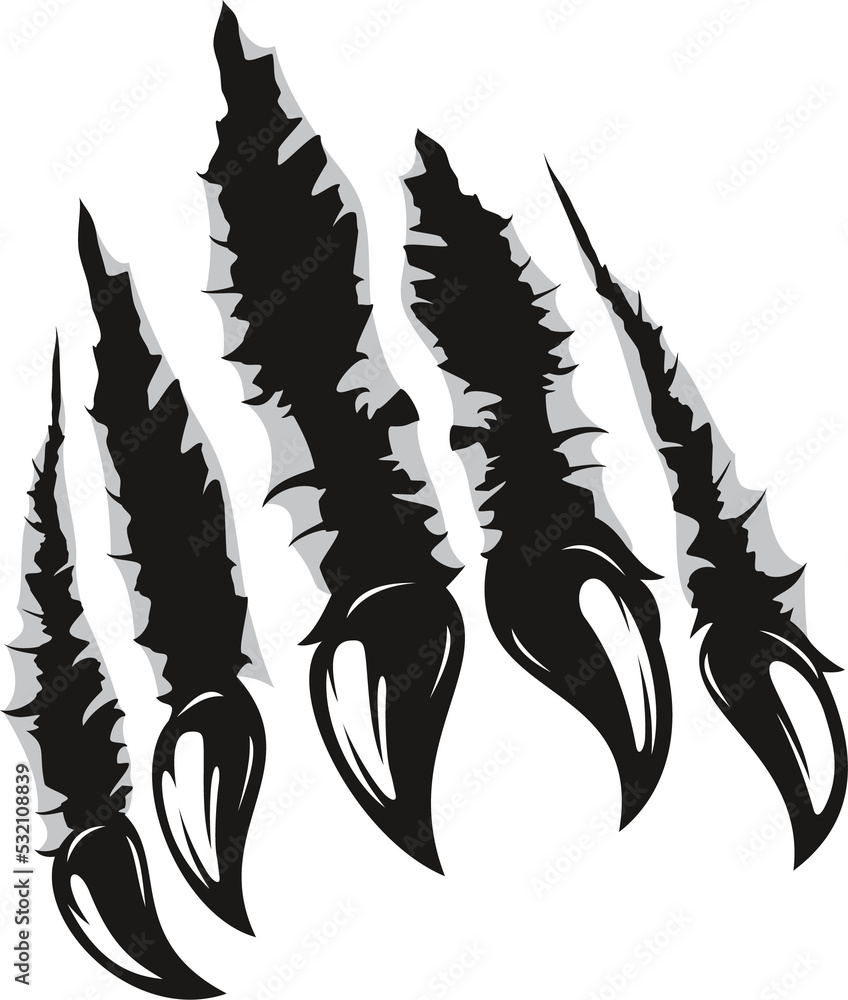 Grizzly bear claw marks, wild animal paw scratches Stock Illustration | Adobe Stock