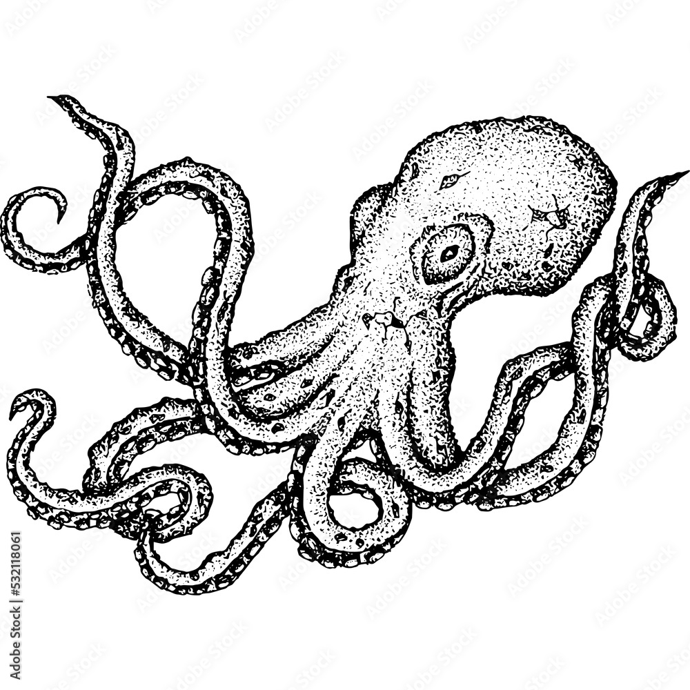Octopus Dotwork Drawing. Vector Illustration of Hand Drawn Objects ...