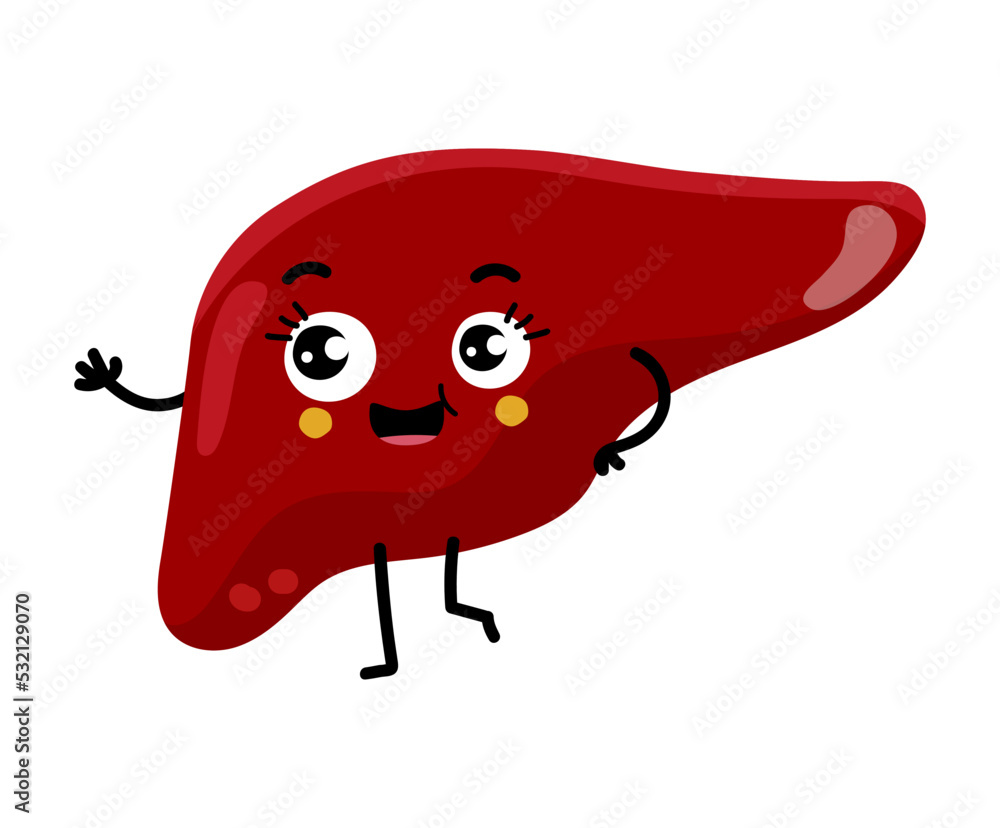 Human liver cute cartoon character. Body anatomy element, health ...