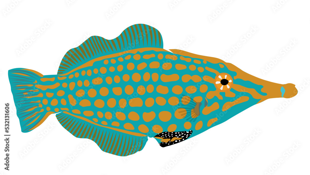 Ocean fish Oxymonacanthus longirostris, Orange spotted filefish, is a ...