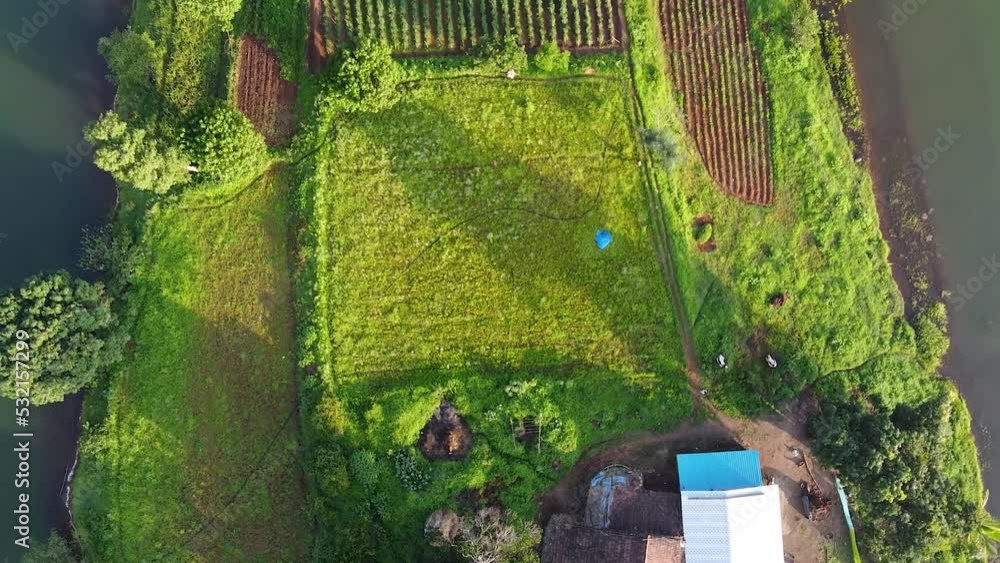 Aerial View Of Farm Lot In Rural Trimbakeshwar, Western Ghats Of ...