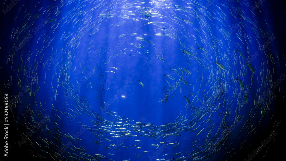 Flocks of fish swim in groups, the underwater circle is shining down ...