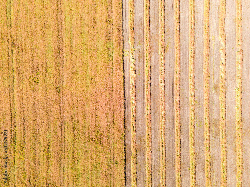 Aerial drone image of fields with diverse crop growth based on ...
