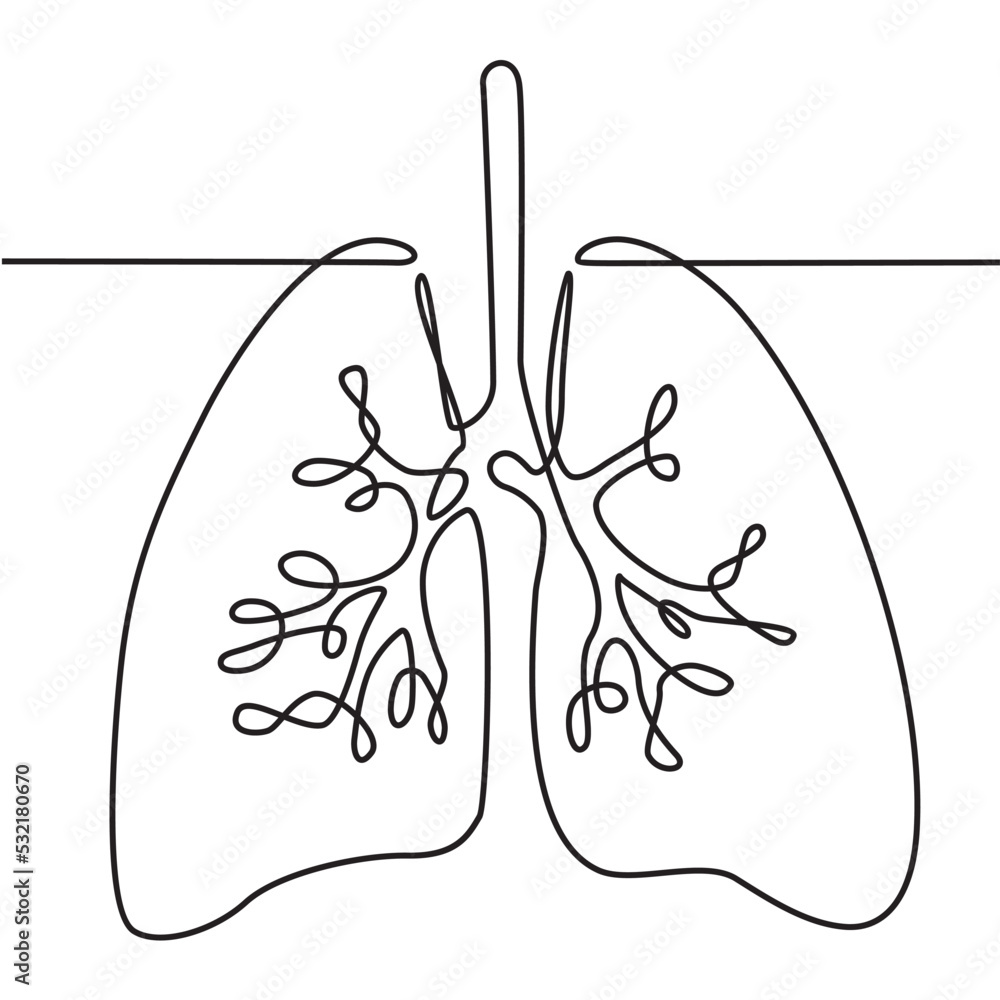 continuous line drawing of lungs Stock Vector | Adobe Stock