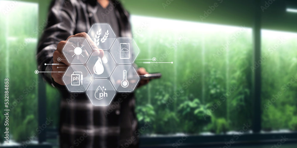 Modern smart farm, controlled by technology Farmers Is monitoring the ...