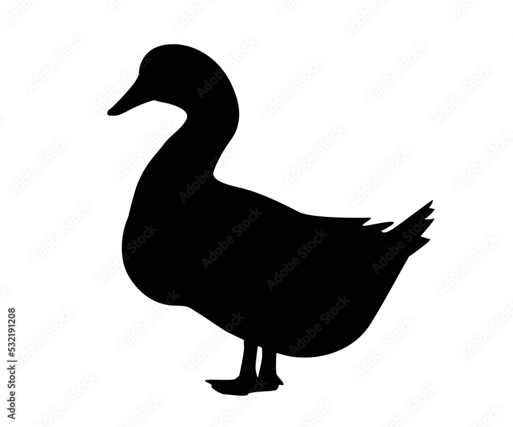Duck black silhouette vector on a white background.Duck vector icon.the ...