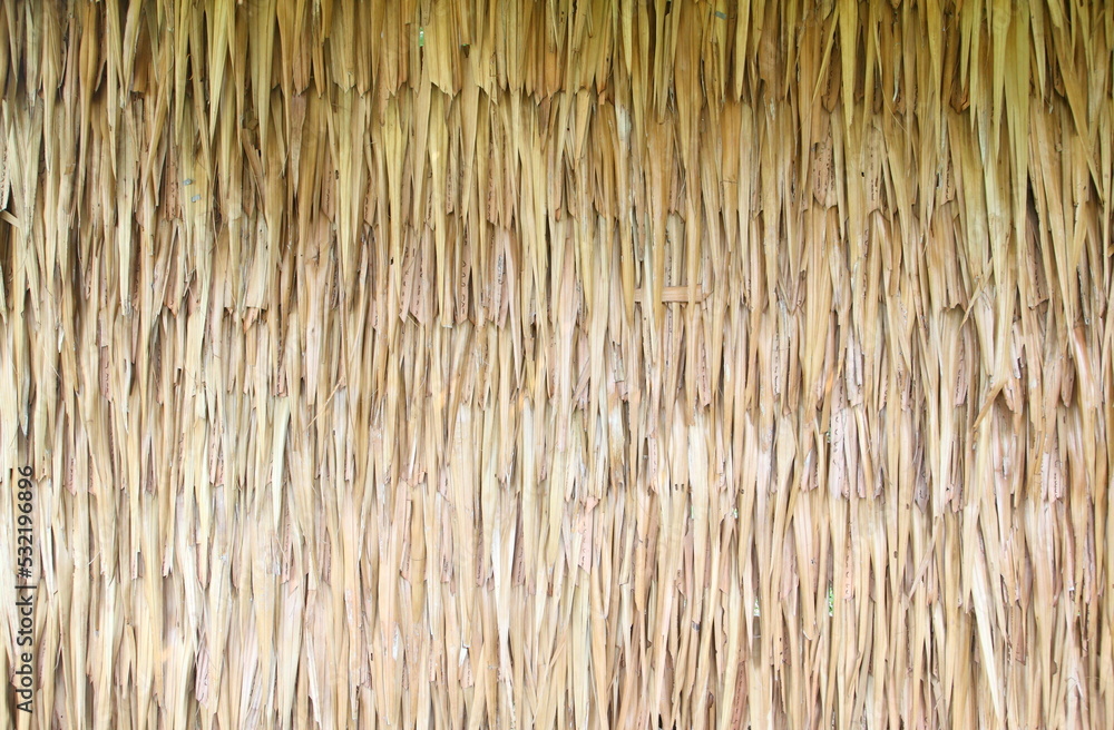 Texture of the classic thatch roof, tropical roofing Stock Photo ...