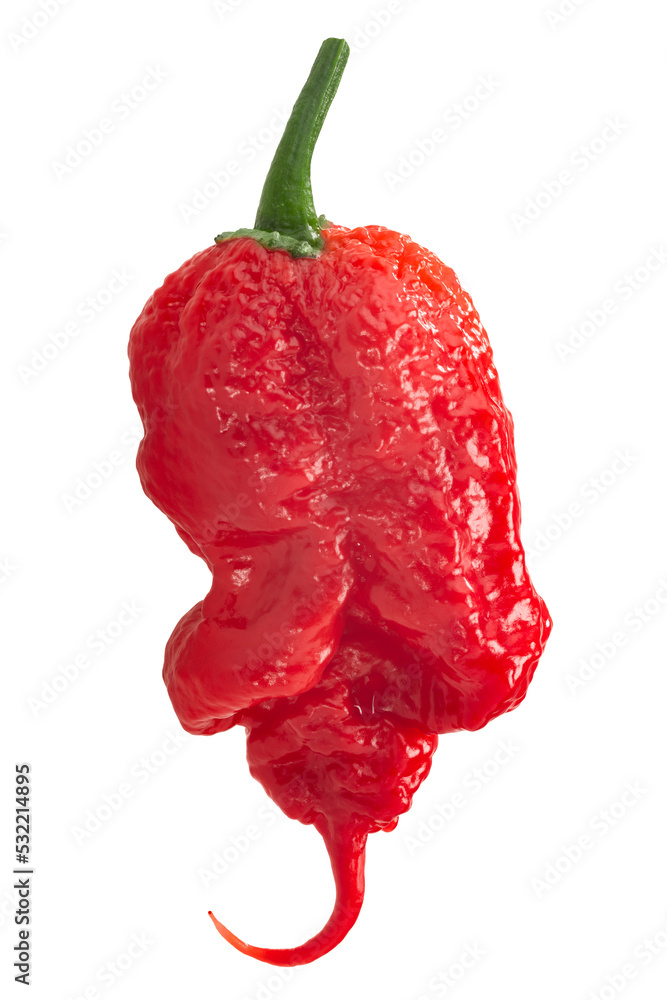 Foto de Carolina Reaper pepper isolated. Insanely hot chile. Capsicum ...