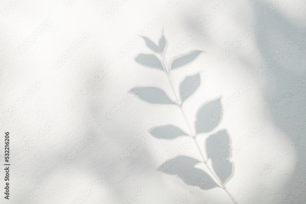 Leaf shadow and light on wall blur background. Nature tropical leaves ...