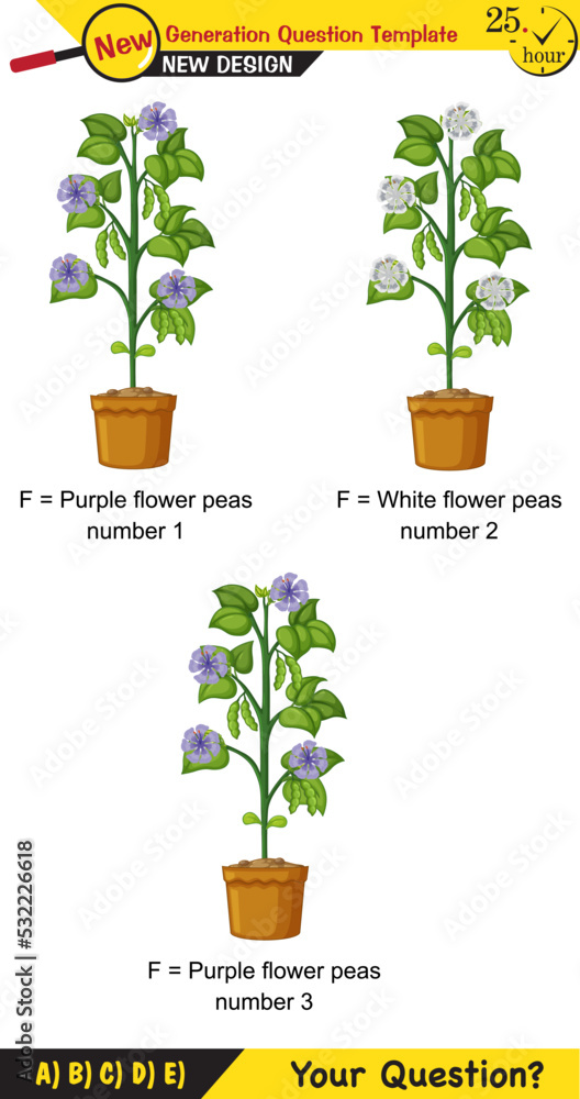 Biology, Heredity Combination, Mendelian genetics, heredity, Peas ...