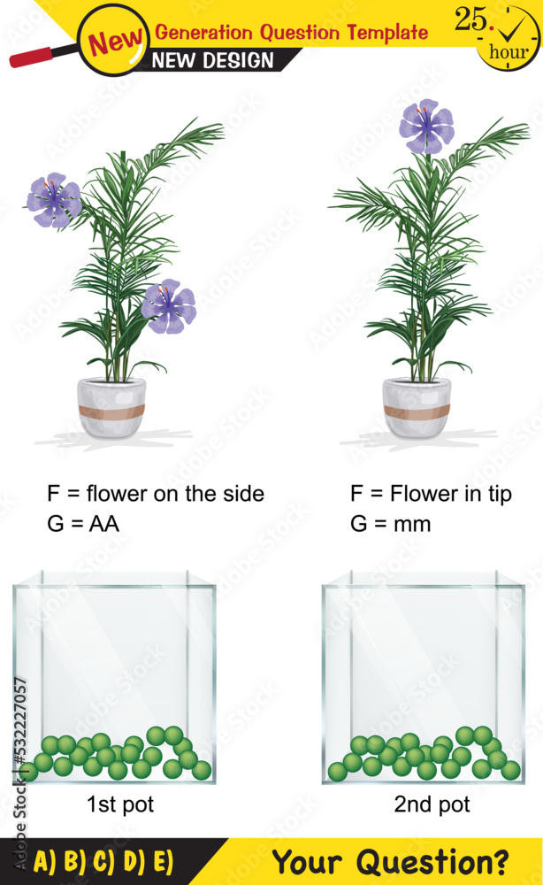 Biology, Heredity Combination, Mendelian genetics, heredity, Peas ...