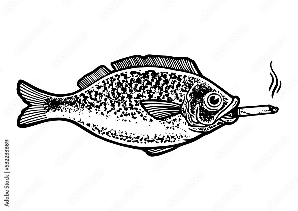 fish smokes a cigarette sketch engraving vector illustration. Scratch ...