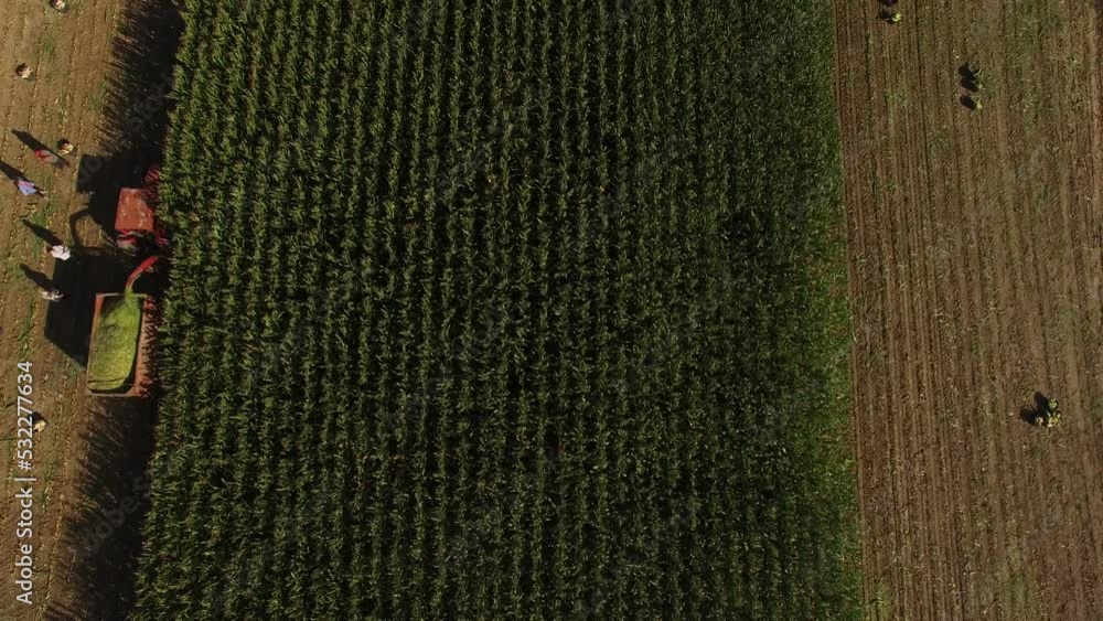 Corn Field Harvest Tractor Aerial. Aerial of tractor and corn wagon in ...