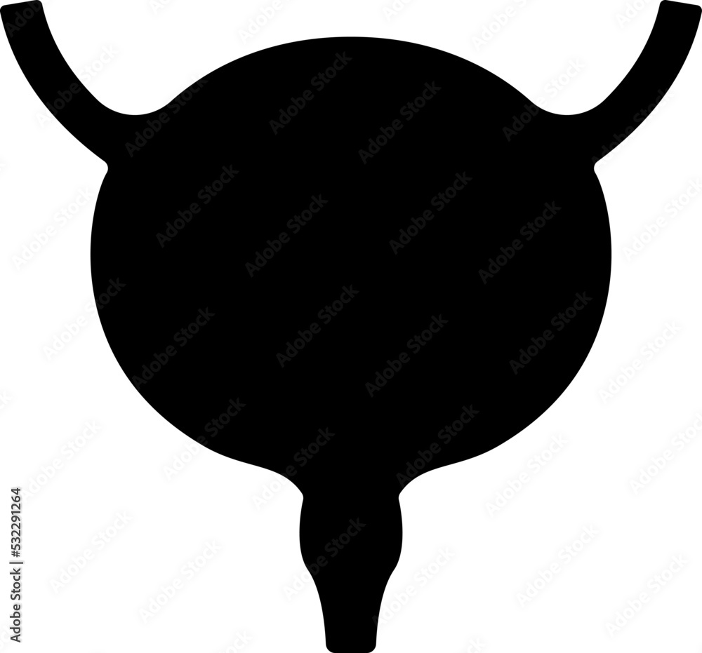 Bladder icon, prostate symbol for health care. Human urinary bladder ...