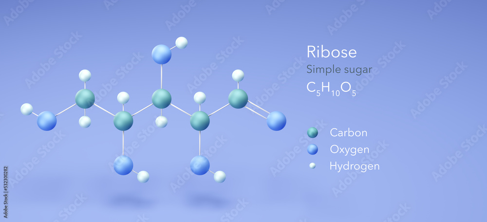 ribose, molecular structures, Simple sugar, 3d model, Structural ...