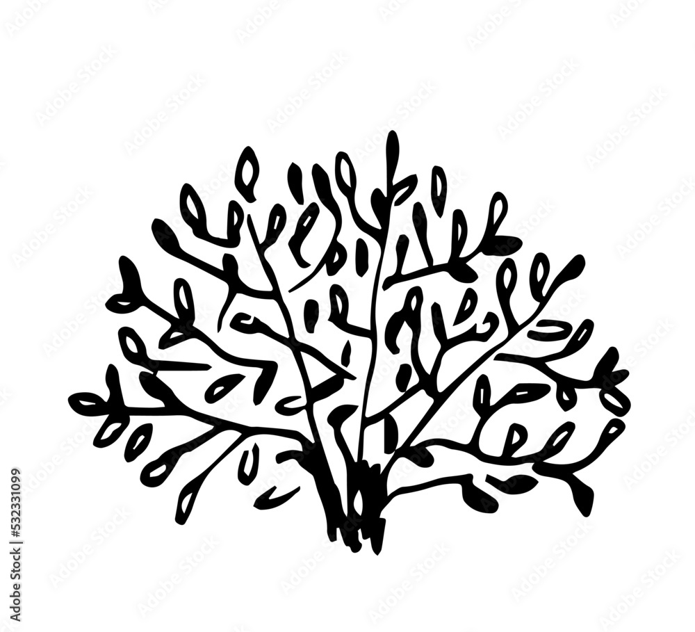 Simple hand drawn black outline vector drawing. Lush bush isolated on ...