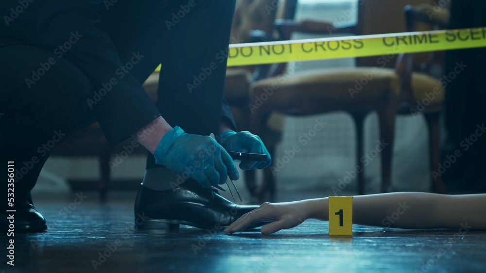 Detective Collecting Evidence in a Crime Scene. Forensic Specialists ...
