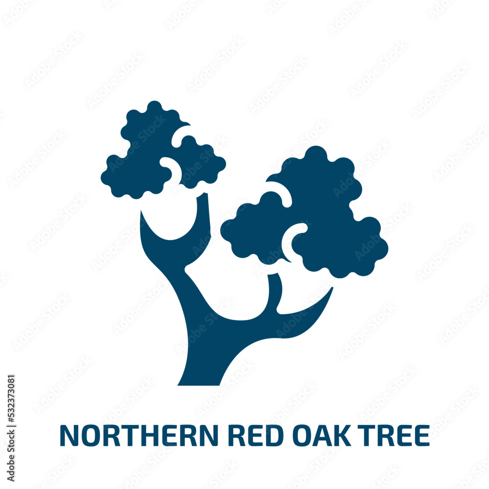 northern red oak tree icon from nature collection. Filled northern red ...
