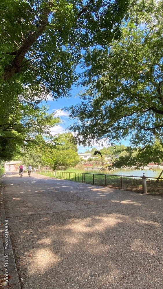 Empty sidewalk at Shinobazu pond of Ueno, the urban resting spot in the ...