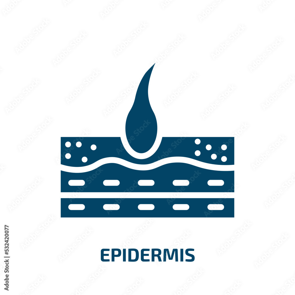 epidermis icon from medical collection. Filled epidermis, treatment, skin glyph icons isolated ...