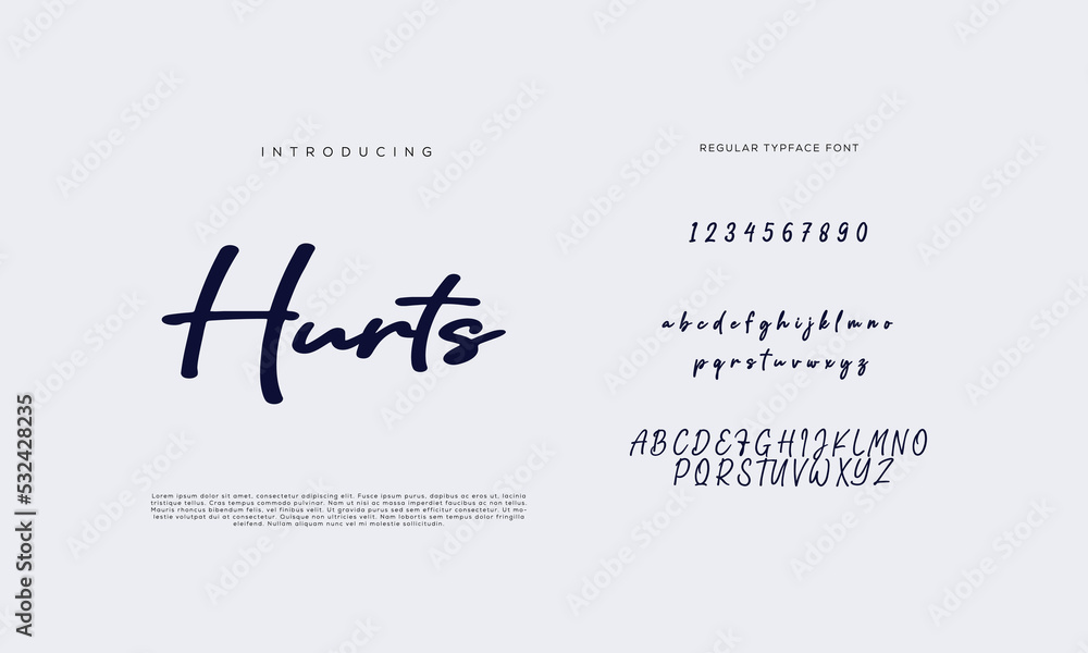 Handwritten Script font. Hand drawn brush style modern calligraphy ...
