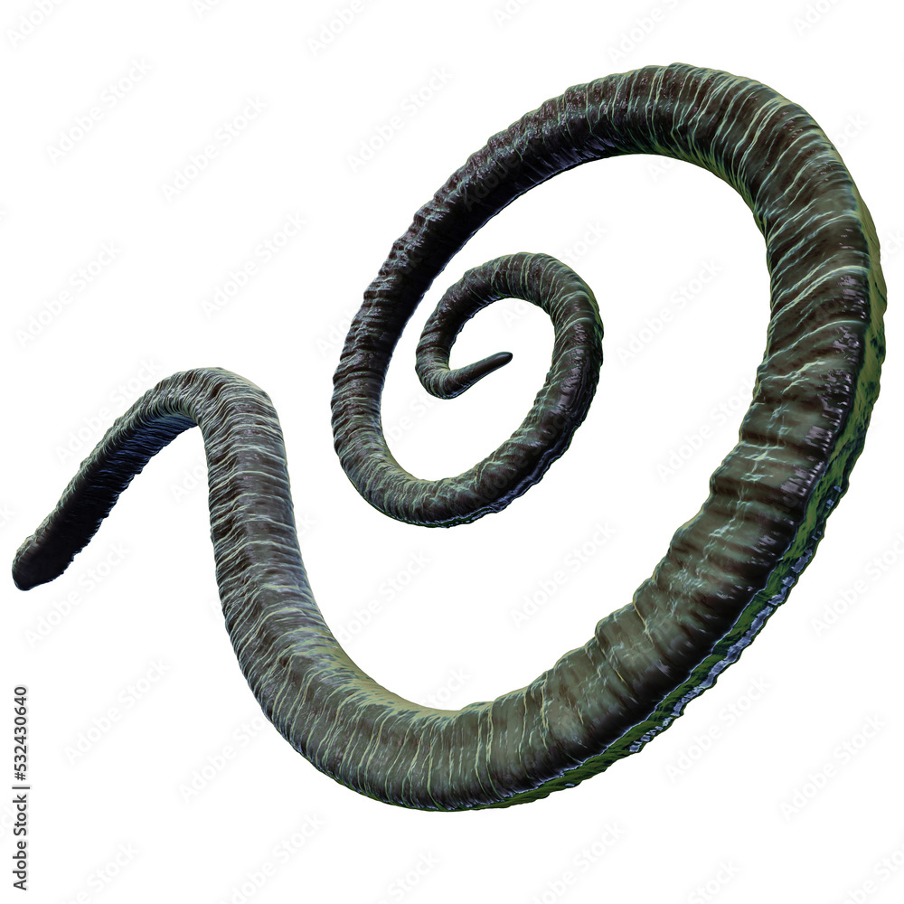 Tentacle CG Illustration with PNG Transparent Background Stock ...