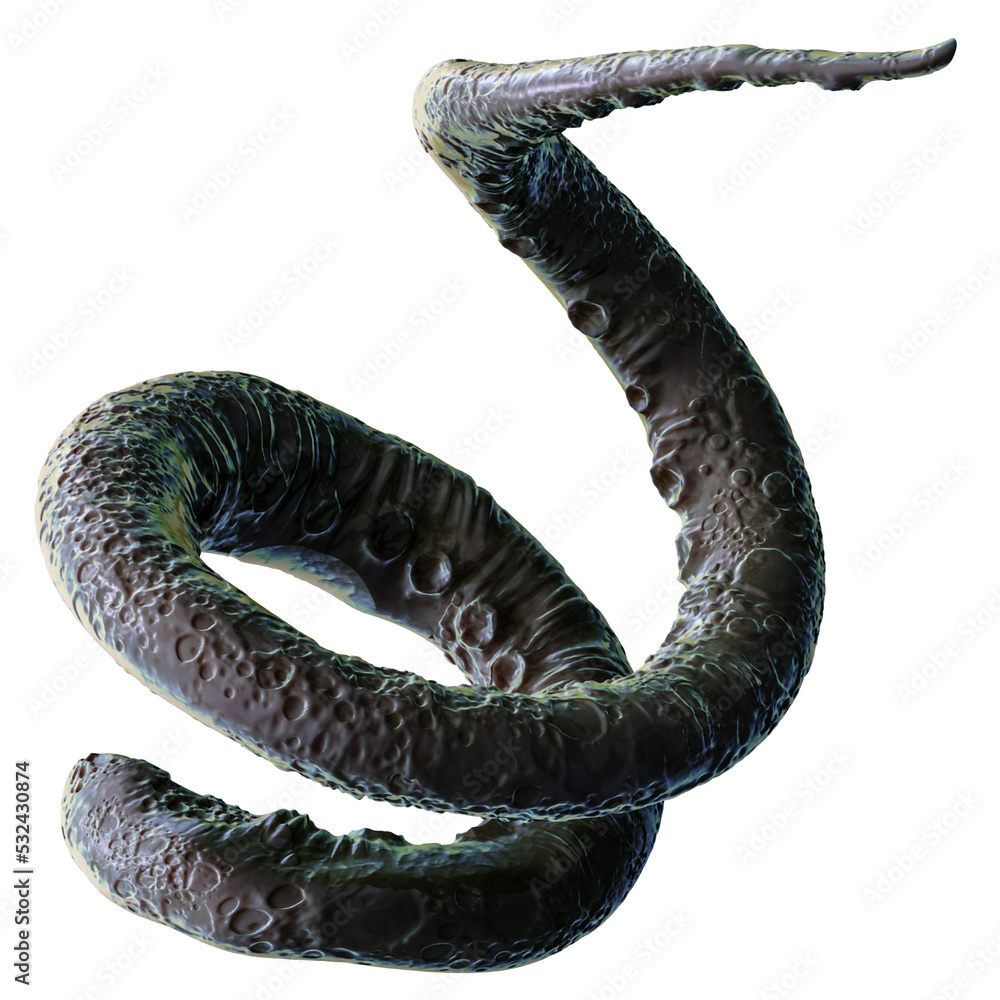 Tentacle CG Illustration with PNG Transparent Background Stock ...