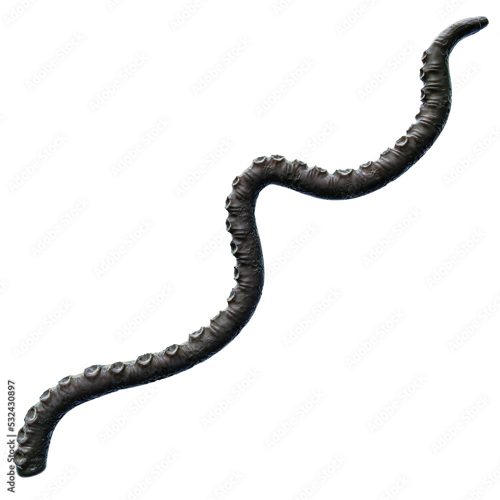Tentacle CG Illustration with PNG Transparent Background Stock ...