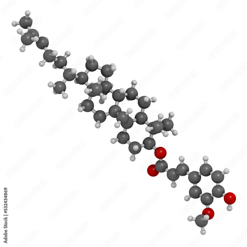 Cycloartenyl ferulate or oryzanol A molecule. Major component of gamma ...