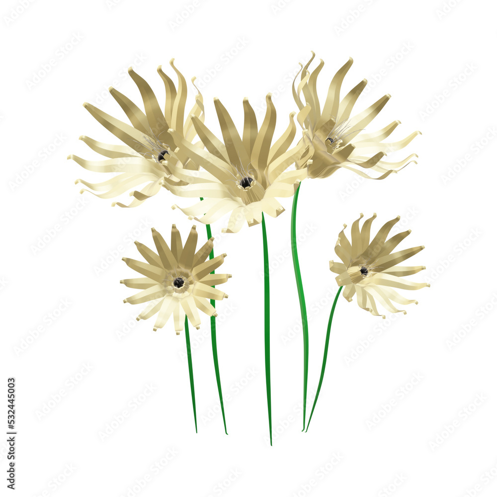 Flower Png Format With Transparent Background Stock Illustration ...