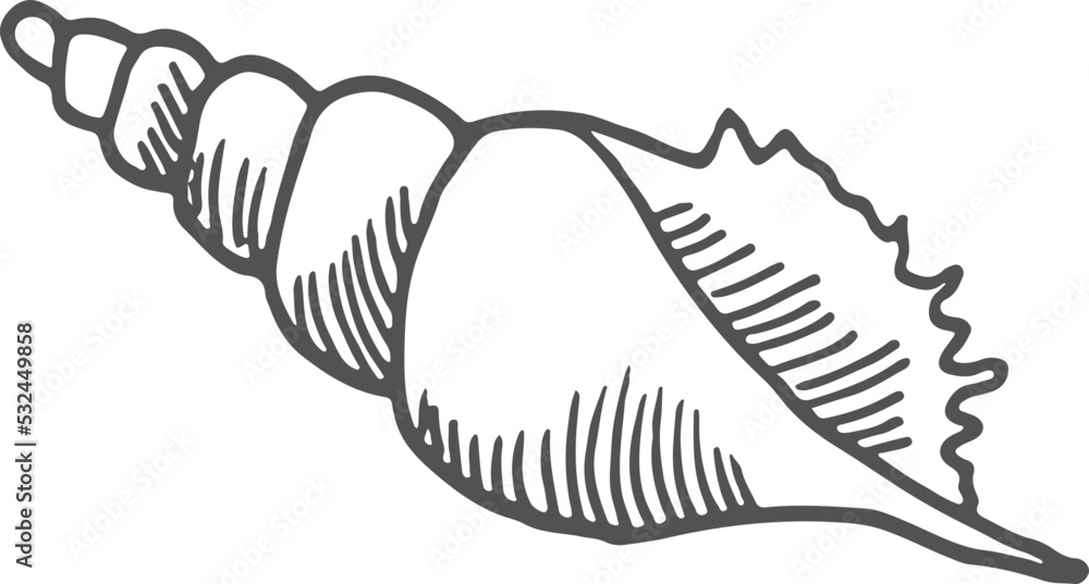 Marine shell icon. Conch sketch. Beach symbol Stock Vector | Adobe Stock