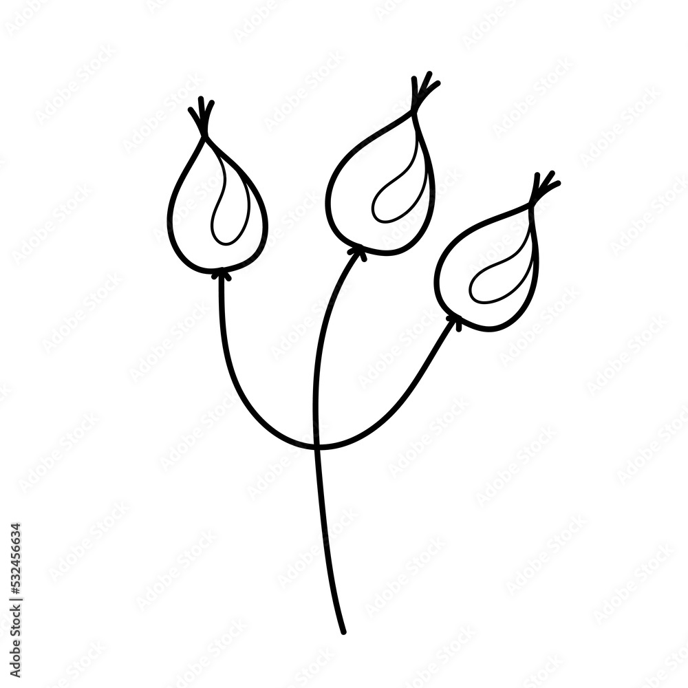 Rose hips isolated on white background. Vector hand-drawn illustration ...